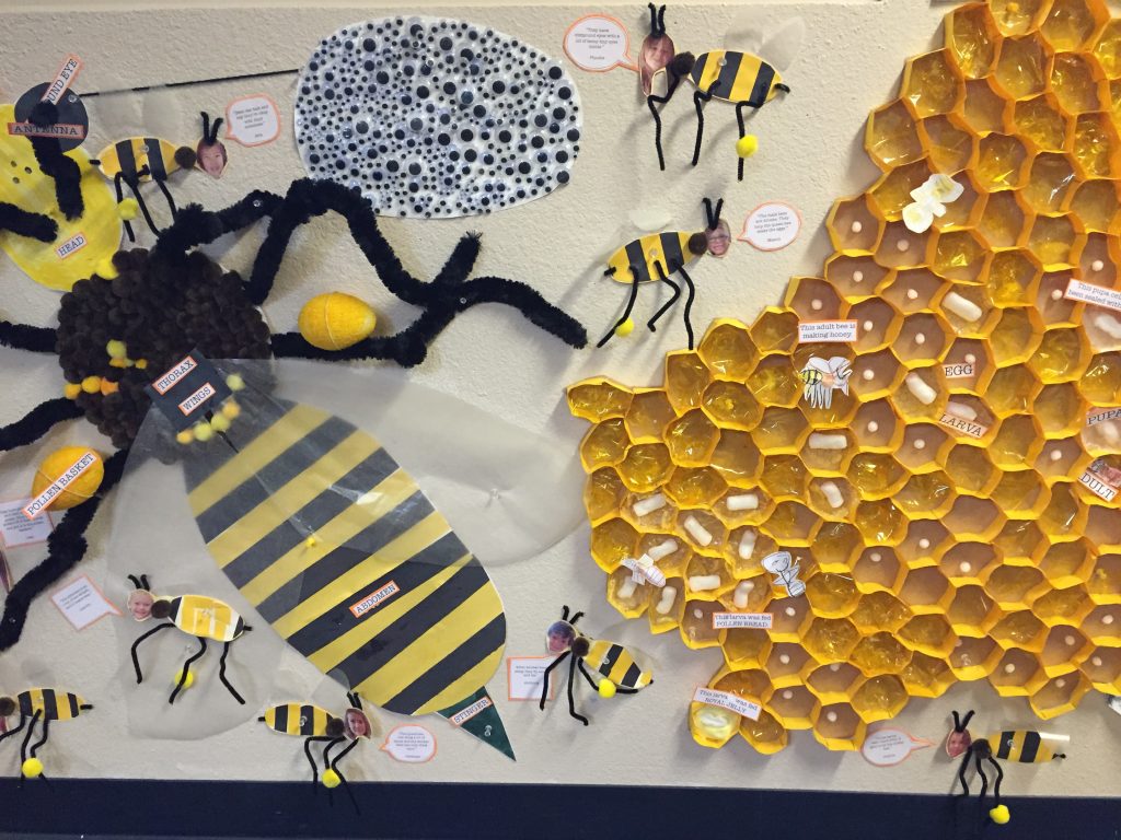 Swarm of Human Bees - Awakening Seed School