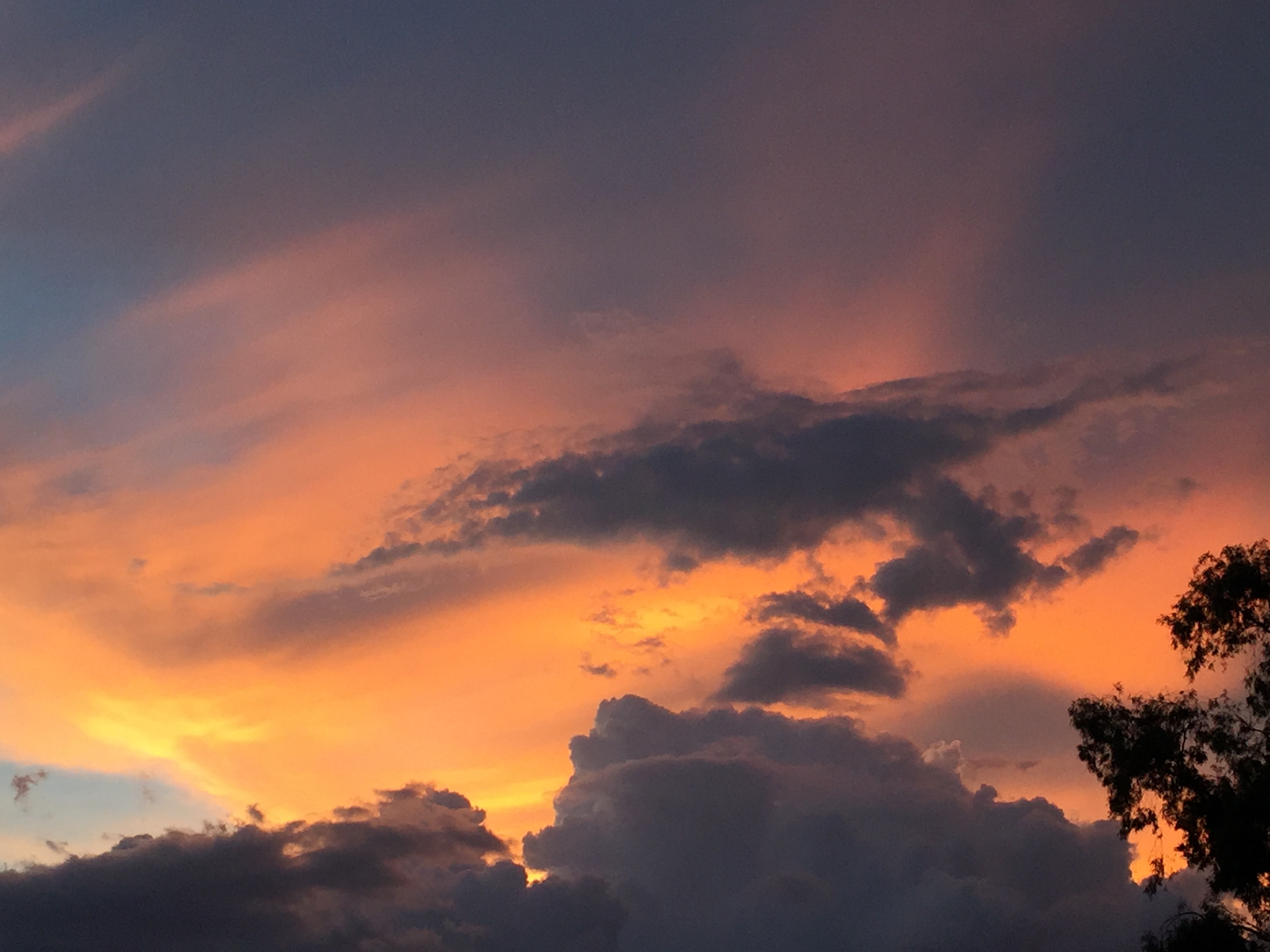 First Day of August - Awakening Seed School