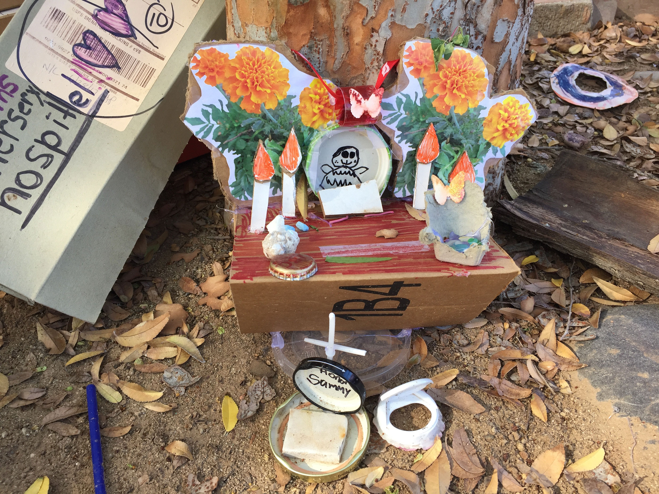 Ofrenda - Awakening Seed School