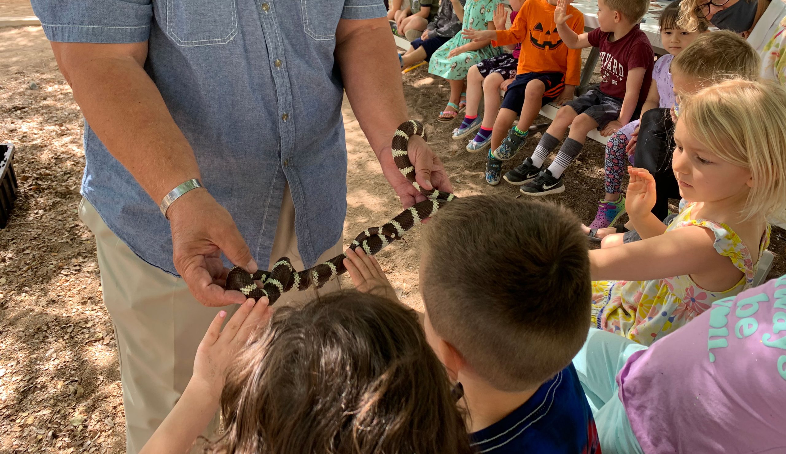 Snake Visit - Awakening Seed School