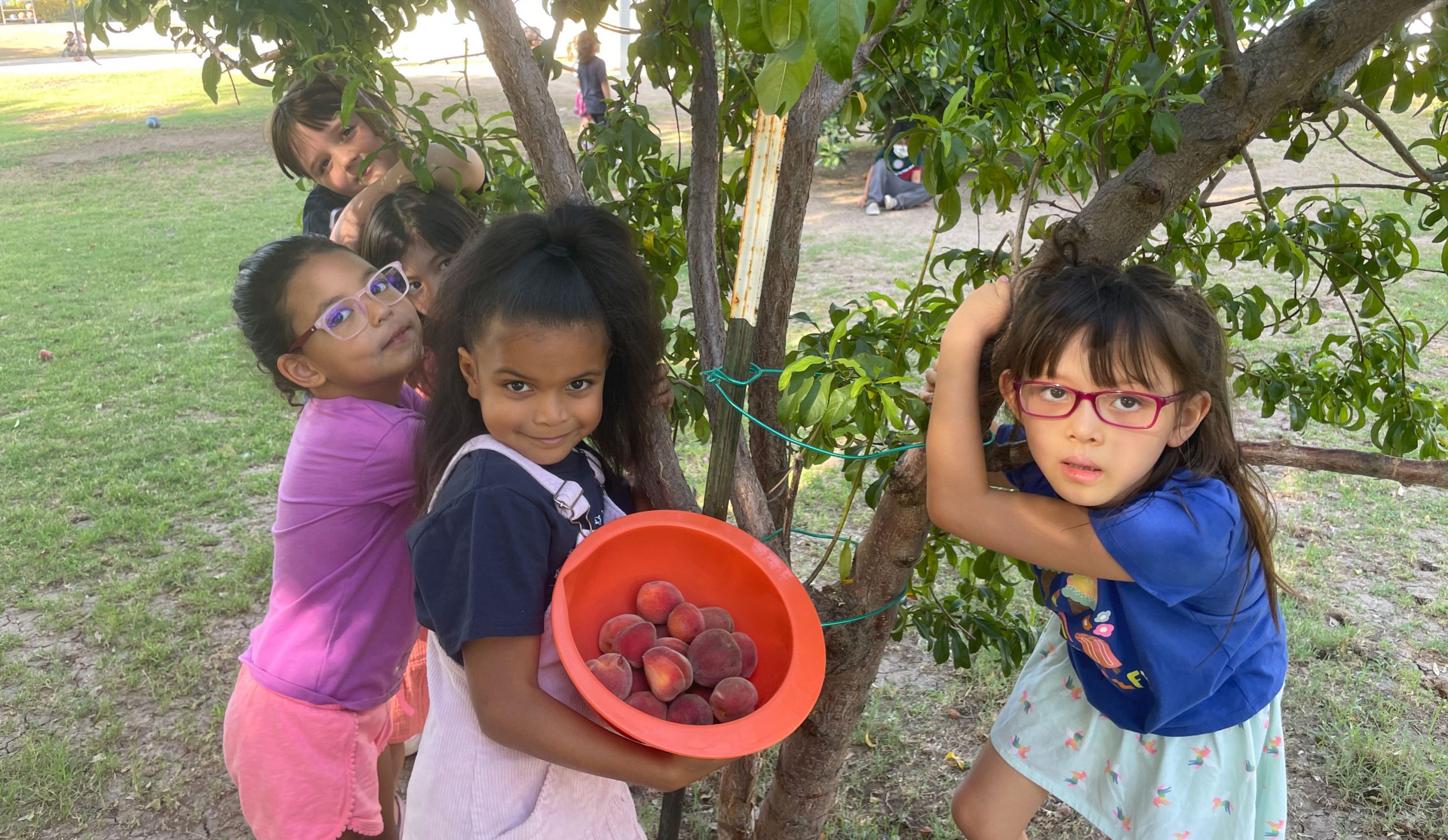 Hugging the Peach Tree - Awakening Seed School