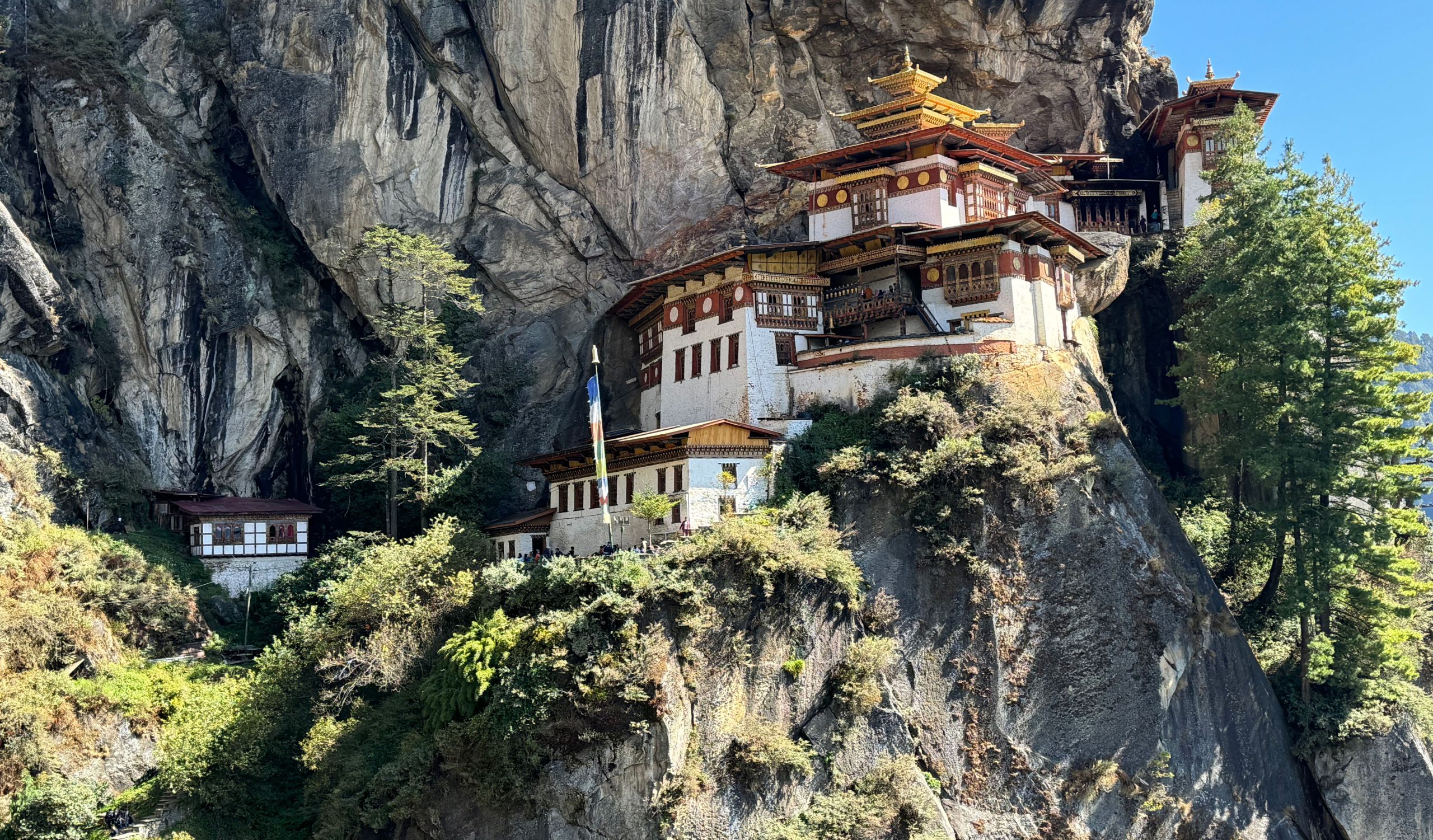 Extraordinary Steps - Awakening Seed School