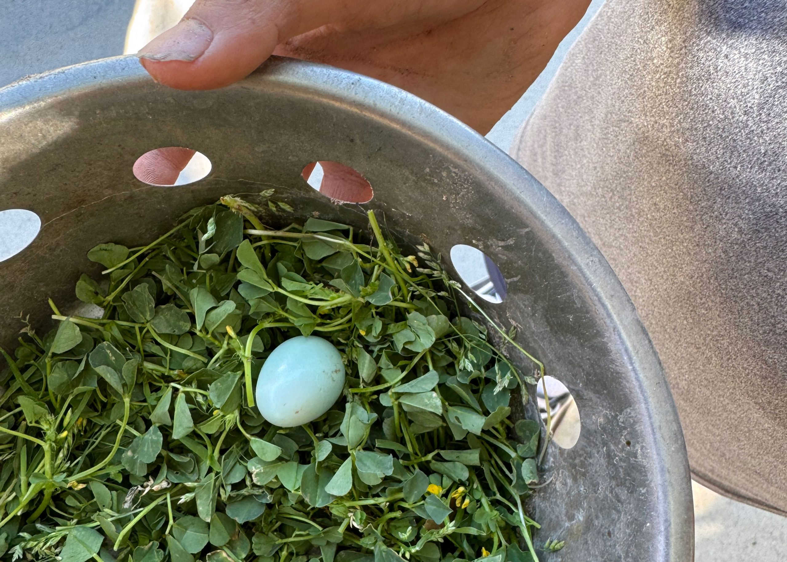 Signs of Spring - Awakening Seed School